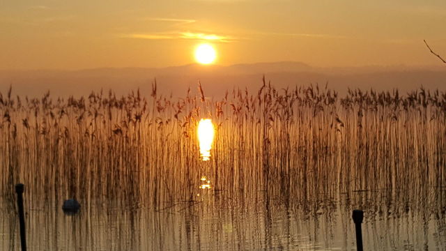 Scenic view of sunset over sea | ID: 103246108