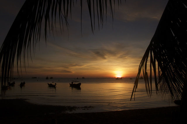Scenic view of sea during sunset | ID: 115847171