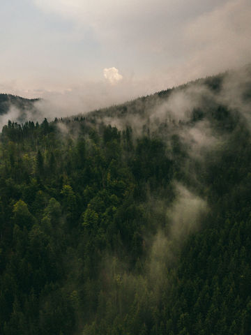 Beautiful Weather pictures | Curated Photography on EyeEm