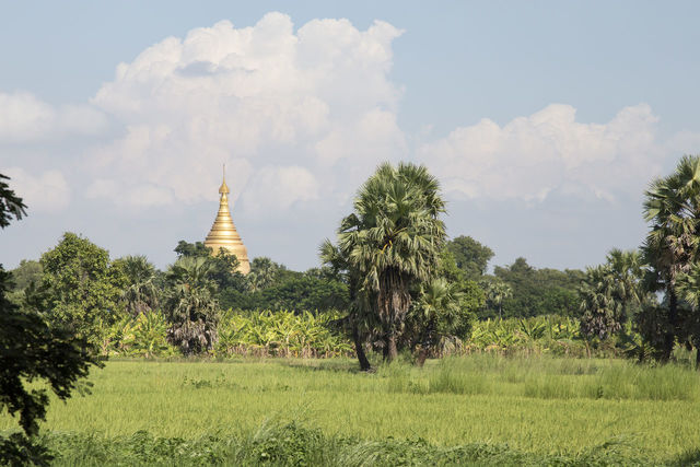 Township pictures | Curated Photography on EyeEm