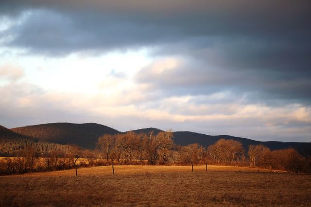 Scenic view of field against sky during | ID: 135339783