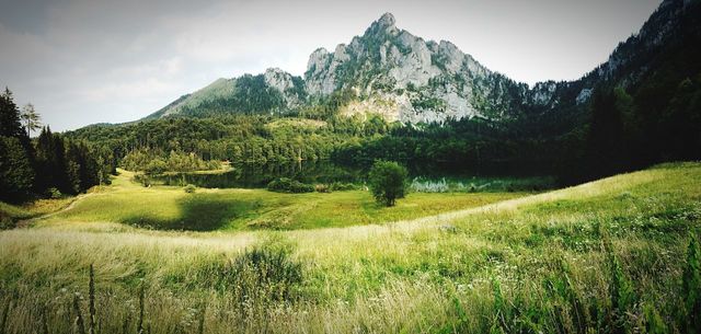 Scenic view of landscape and mountains | ID: 128894765