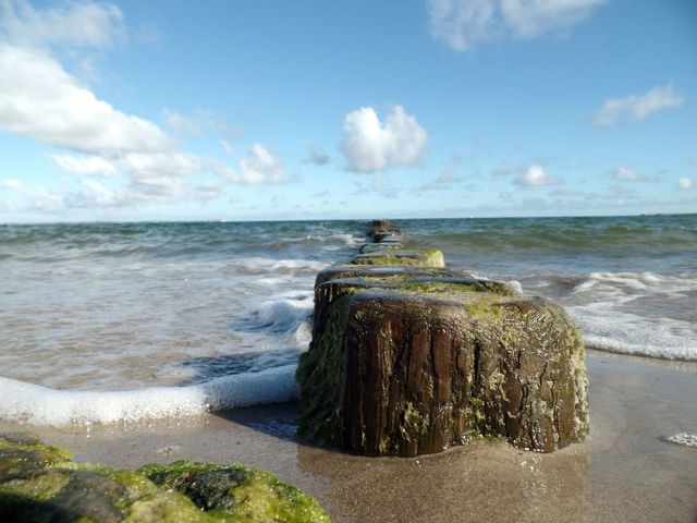 Wooden posts in sea against sky | ID: 73603692