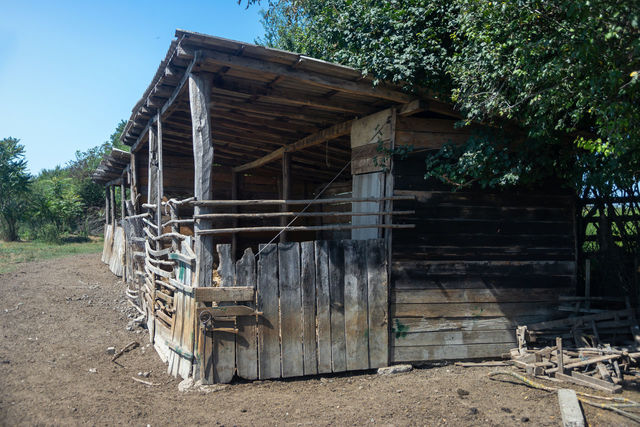 Rustic vintage stable on donkey farm | ID: 208899442