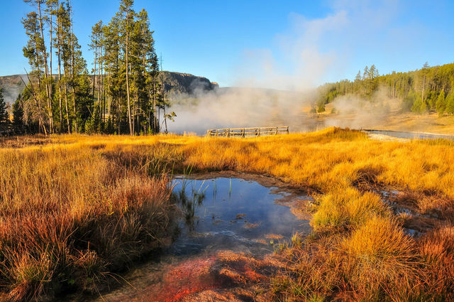 Terrace spring at yellowstone national park | ID: 139007019