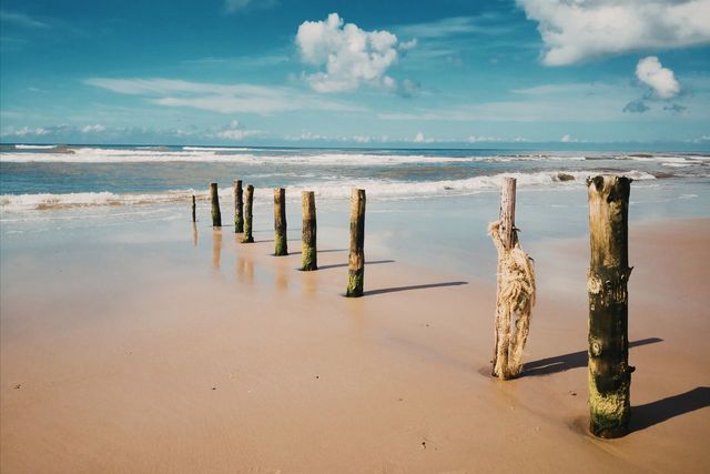 Wooden posts on sea against sky | ID: 147609262