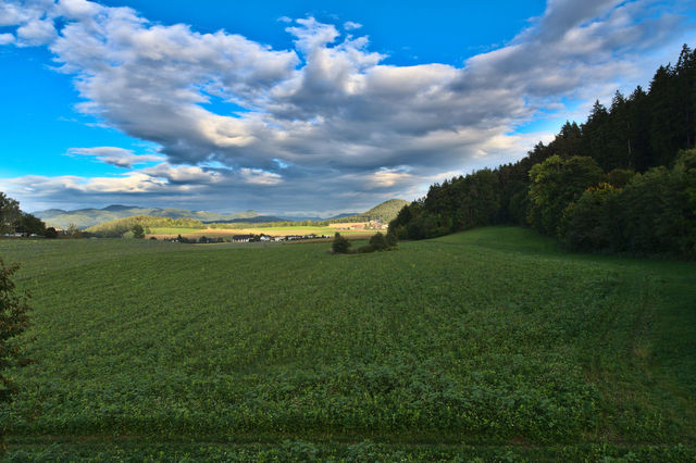 Scenic view of farm against sky | ID: 183866374