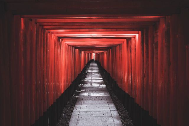 Red corridor | ID: 100168636