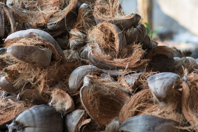 Close-up of coconut peels outdoors | ID: 129627135