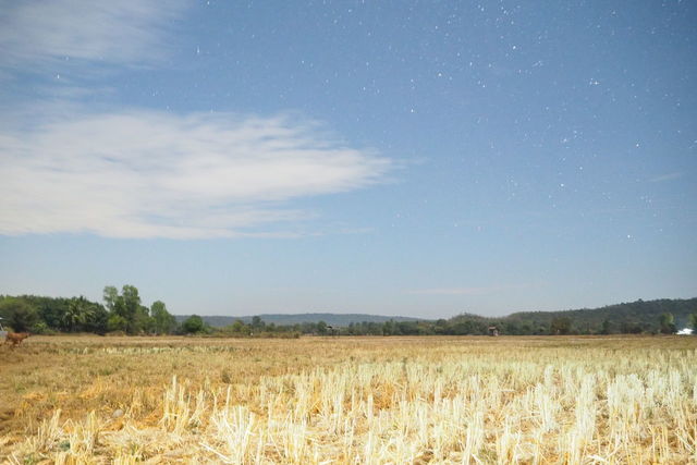 Scenic view of field against sky | ID: 106949962