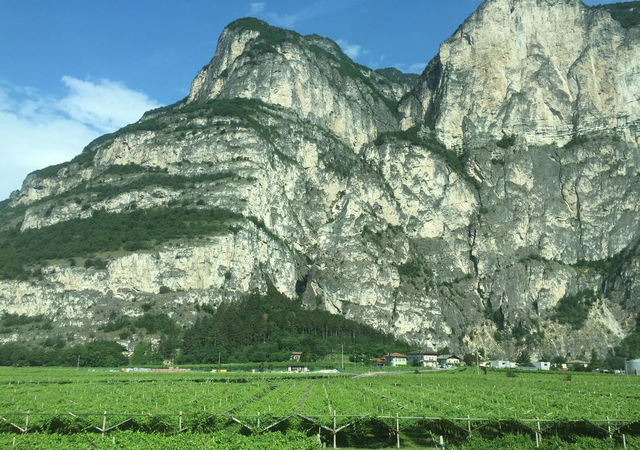 Pineta pictures | Curated Photography on EyeEm