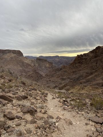 nature 210518472 | Beautiful photography on EyeEm