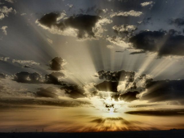 Low angle view of sun streaming through | ID: 127233955