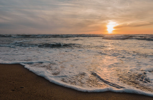 Scenic view of beach during sunset | ID: 111004103
