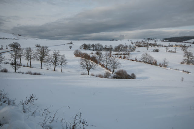 Snow covered land against sky | ID: 137811083