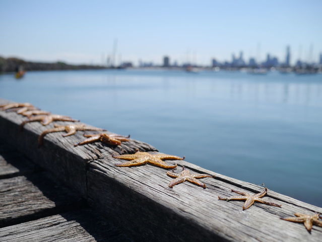 Dead Animal pictures | Curated Photography on EyeEm