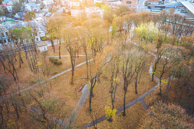 High angle view of trees in city | ID: 153234958