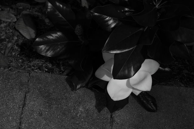 black 219354386 | Beautiful photography on EyeEm