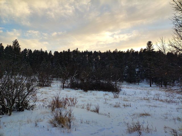 218514647 | Beautiful photography on EyeEm