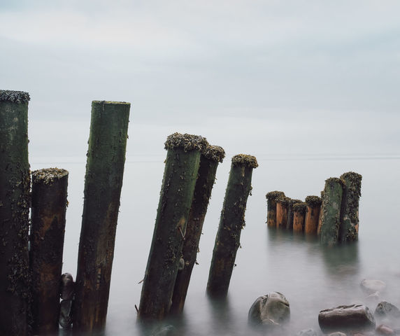 Panoramic view of wooden posts in sea | ID: 144935356
