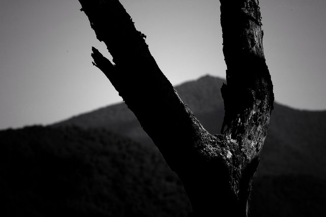 black 219287781 | Beautiful photography on EyeEm