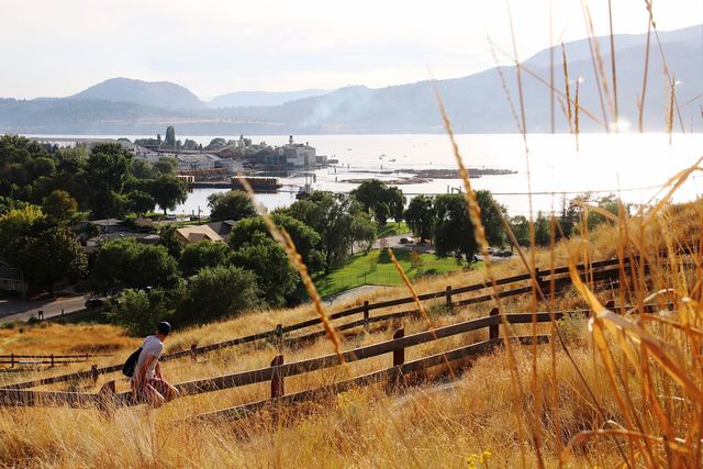 Scenic view of river and field against sky | ID: 111954660