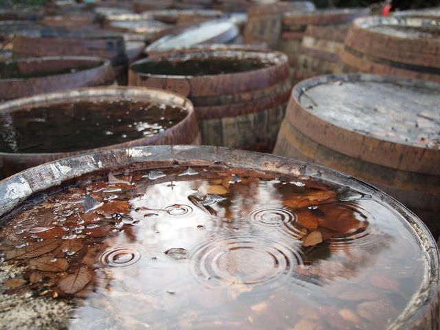 Close-up of water drop on stone surface | ID: 95954981