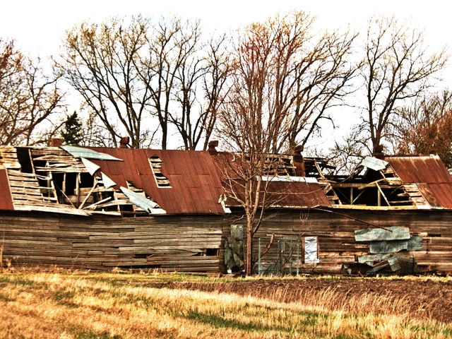 View of weathered cottage | ID: 63023196