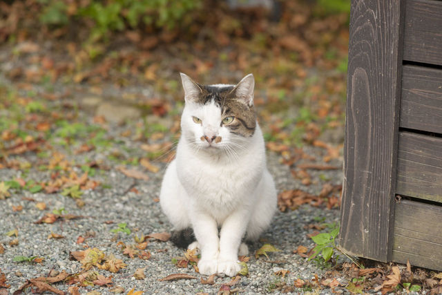 Tangent, Or pictures | Curated Photography on EyeEm