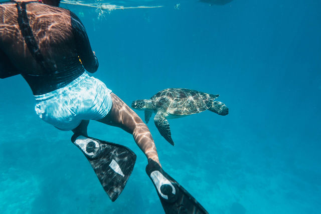 Fahs pictures | Curated Photography on EyeEm