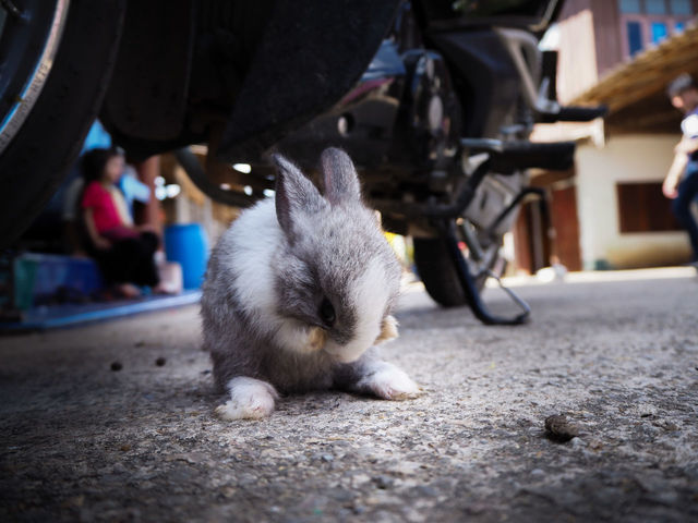 Pillager, Mn pictures | Curated Photography on EyeEm