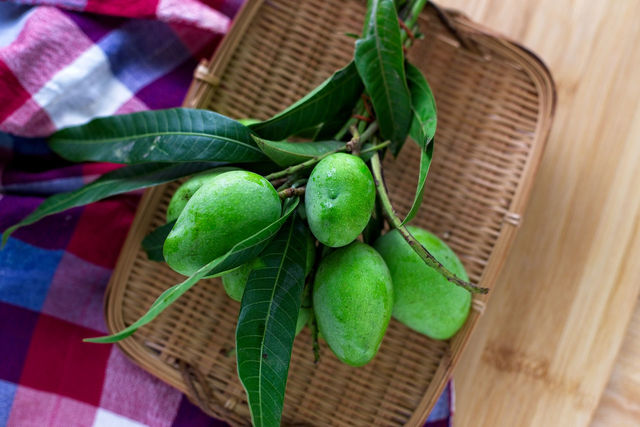 Directly above shot of raw mangoes in | ID: 121893727