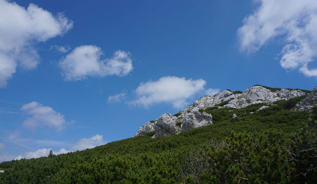 Rax pictures | Curated Photography on EyeEm