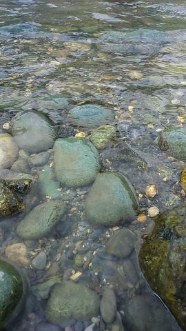 Rocks in shallow water | ID: 82791987