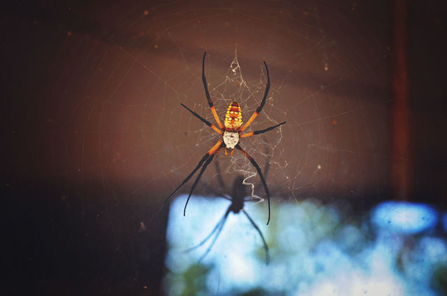 Shady pictures | Curated Photography on EyeEm