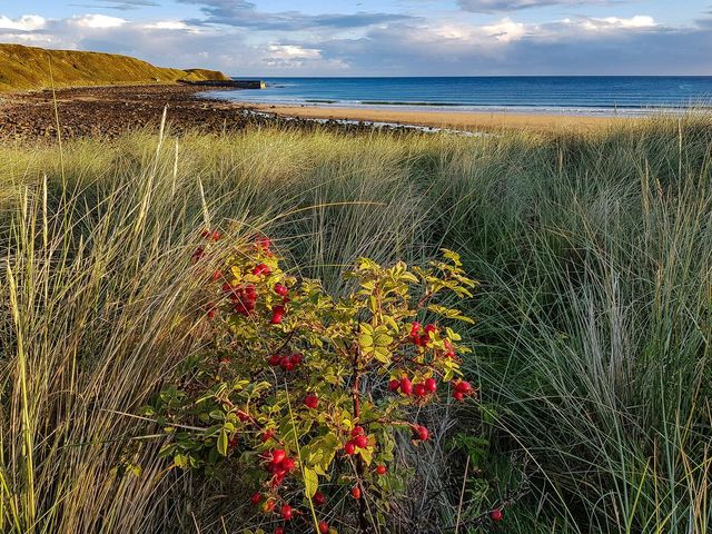 Scenic view of sea | ID: 132771874