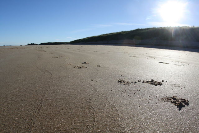 Scenic view of beach against sky | ID: 133839836