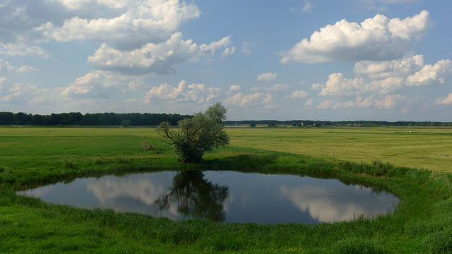Scenic view of field against sky | ID: 146806275