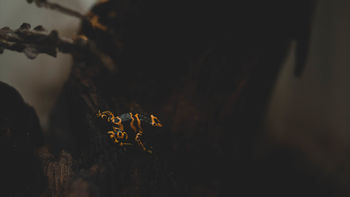 The Week on EyeEm | EyeEm