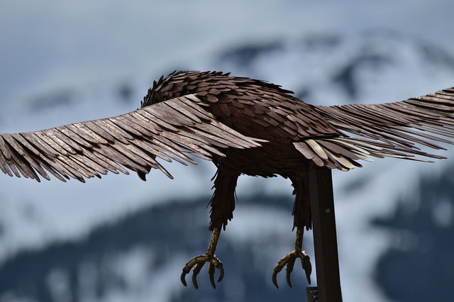 Close-up of eagle flying over roof | ID: 178950109