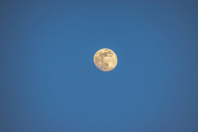 Low angle view of moon against blue sky | ID: 140137466