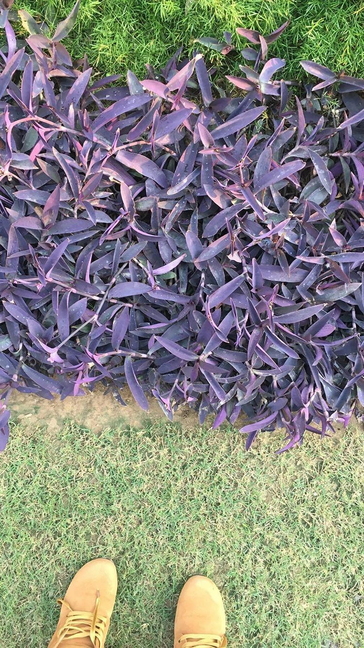 360-degree view of modhera temple gujarat | ID: 202933799
