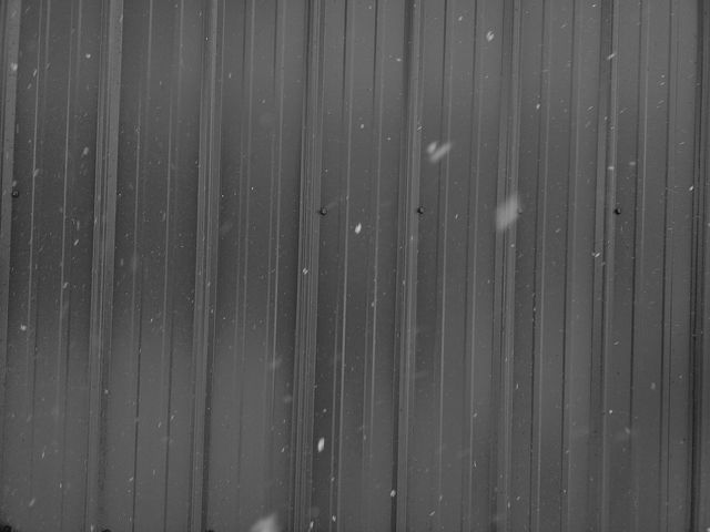 black 218603744 | Beautiful photography on EyeEm