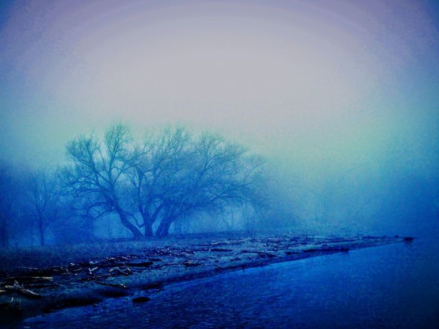 Scenic view of sea against blue sky | ID: 102537691