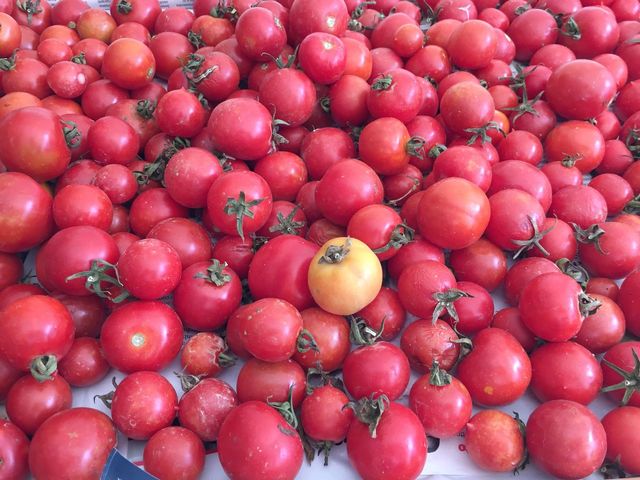 Full frame shot of red berries | ID: 112921526