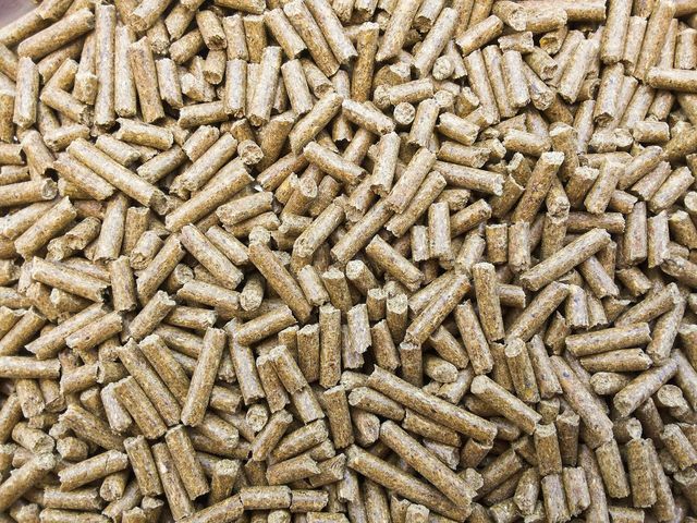 Full frame shot of pellets | ID: 119659923