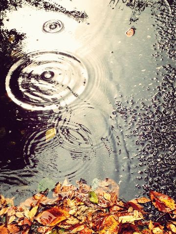 High angle view of floating on water | ID: 35555813
