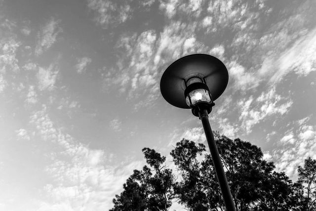 Low angle view of street light against tree | ID: 137912740