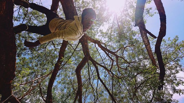 Low angle view of young man hanging on tree | ID: 131316836