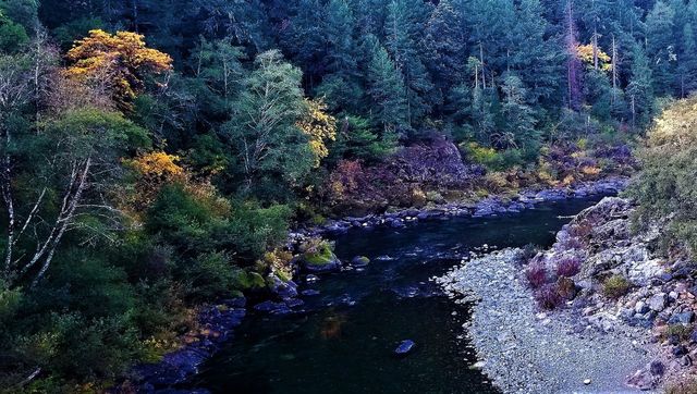 High angle view of river flowing through | ID: 134515237